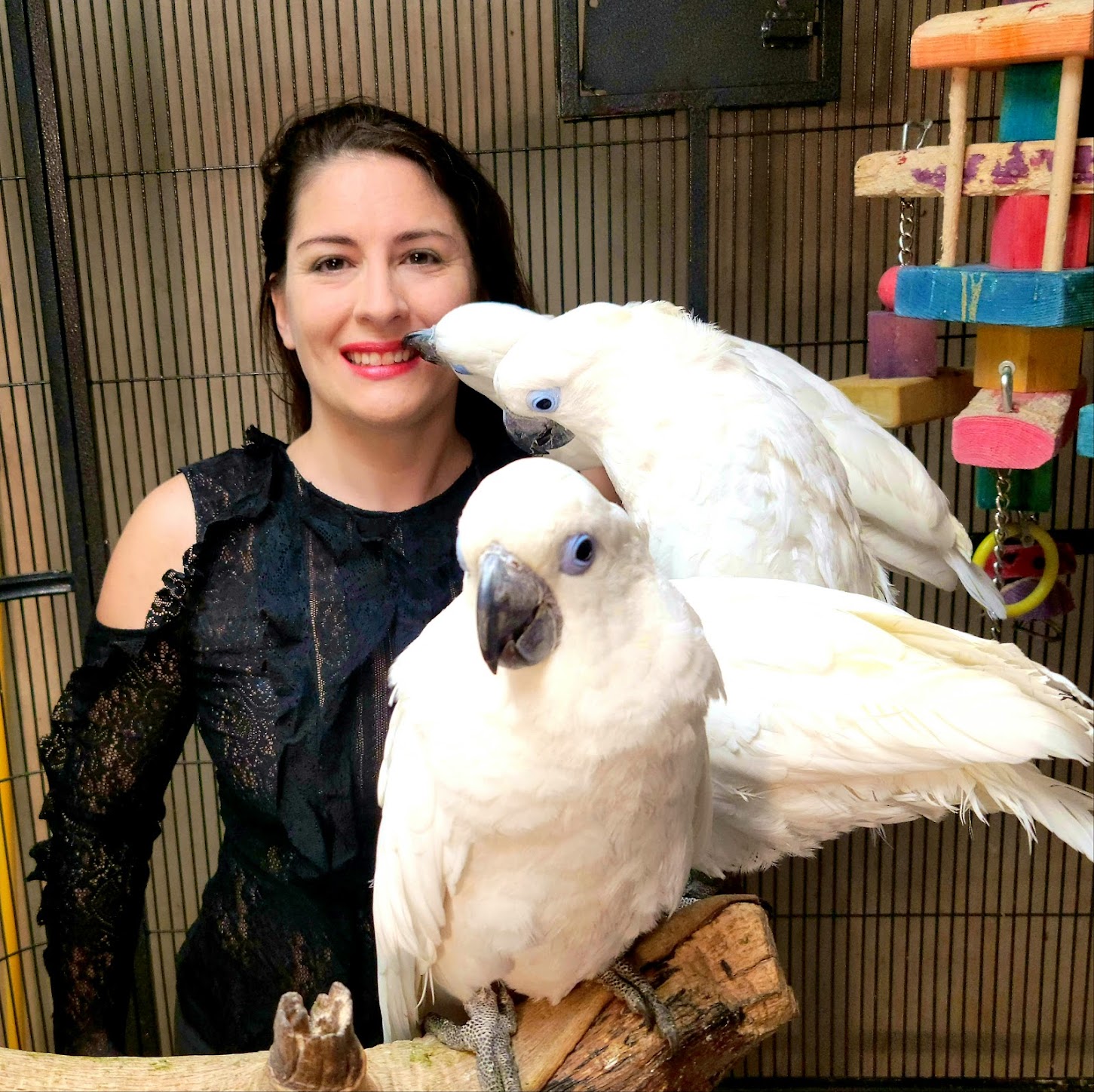 Resources for Automated Wildlife Research | Automated Wildlife Conservation and Innovation